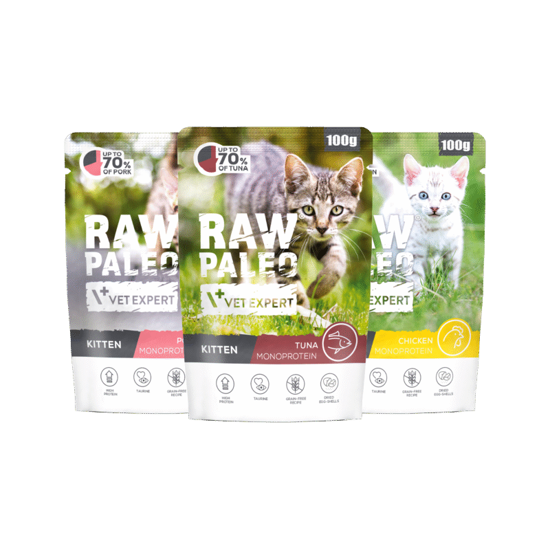 Raw Paleo Kitten - Melisasi